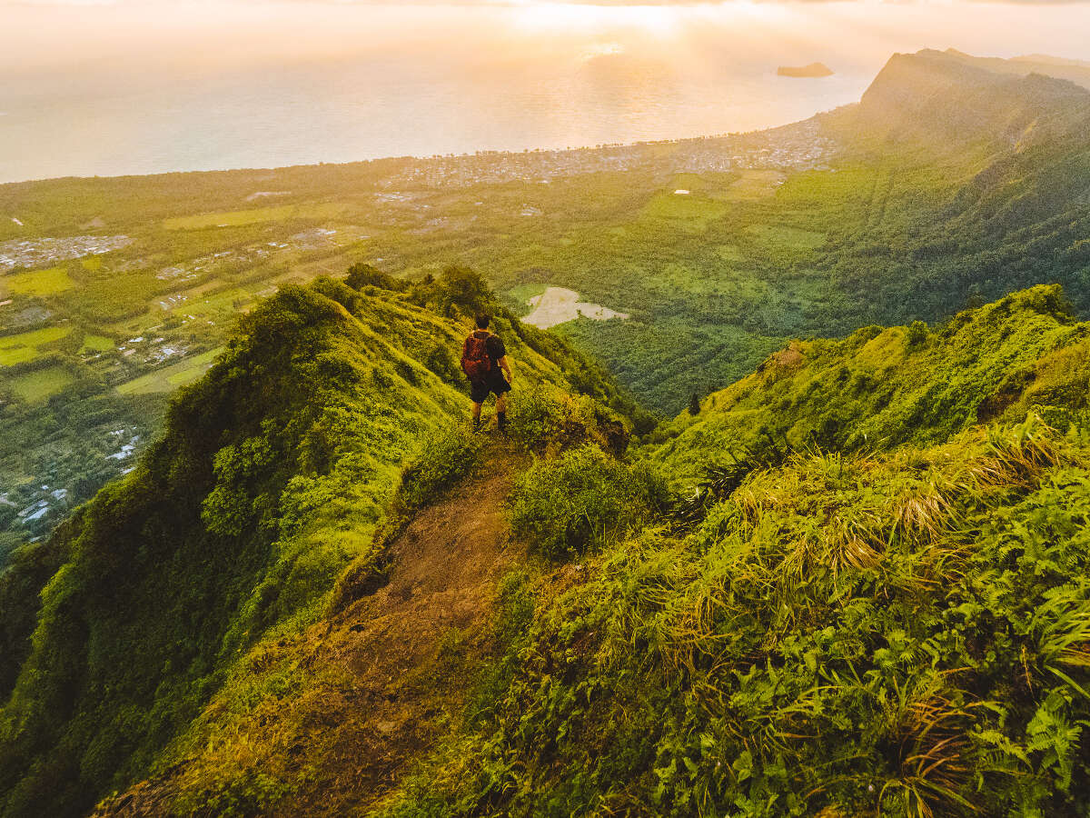 OM SYSTEM LEARN CENTER | OM SYSTEM